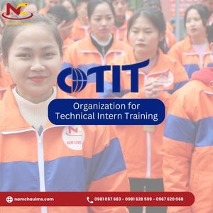OTIT là gì? Hỗ trợ thực tập sinh các vấn đề gì? Cách liên lạc?
