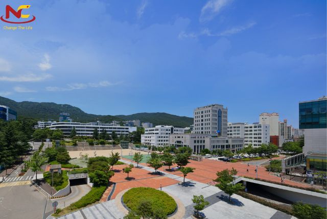 Trường Đại học Quốc gia Pusan (Pusan National University)