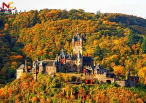 Tìm hiểu về nước Đức (Germany) đầy đủ và chi tiết nhất